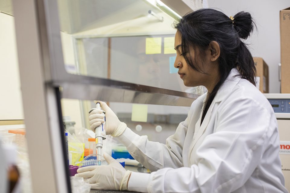 Projects - Mallinckrodt Institute of Radiology - WashU Medicine
