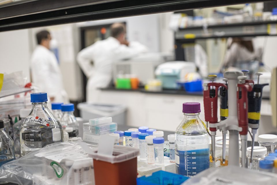 Wahl Lab - Mallinckrodt Institute of Radiology - WashU Medicine
