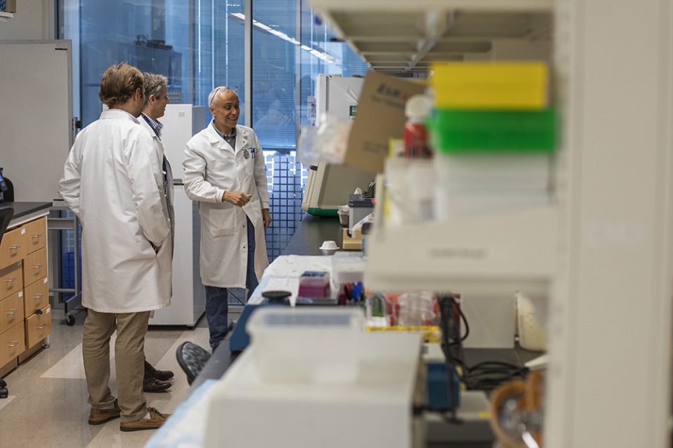 Malone Lab - Mallinckrodt Institute of Radiology - WashU Medicine