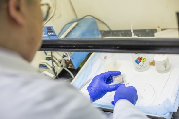 Qing Wang Lab - Mallinckrodt Institute of Radiology - WashU Medicine